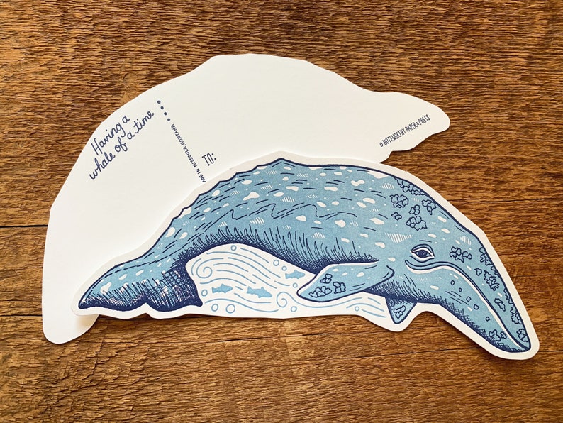 Gray Whale Postcard, Whale Postcard, Die Cut Letterpress Postcard - Etsy
