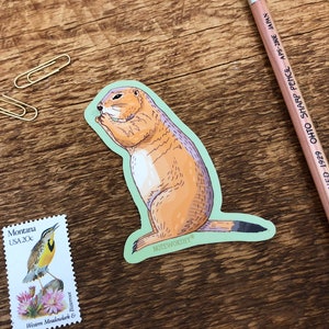 Prairie Dog Sticker, Outdoors Sticker, Single Die Cut Vinyl Sticker - Etsy