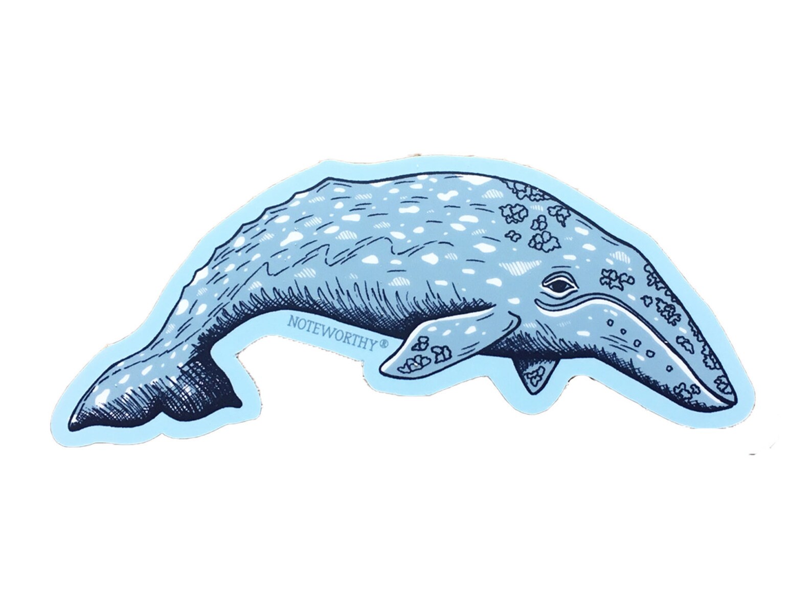Gray Whale Sticker, Whale Sticker, Outdoor Sticker, Single Die Cut ...