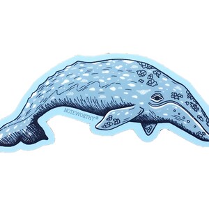 Gray Whale Sticker, Whale Sticker, Outdoor Sticker, Single Die Cut ...