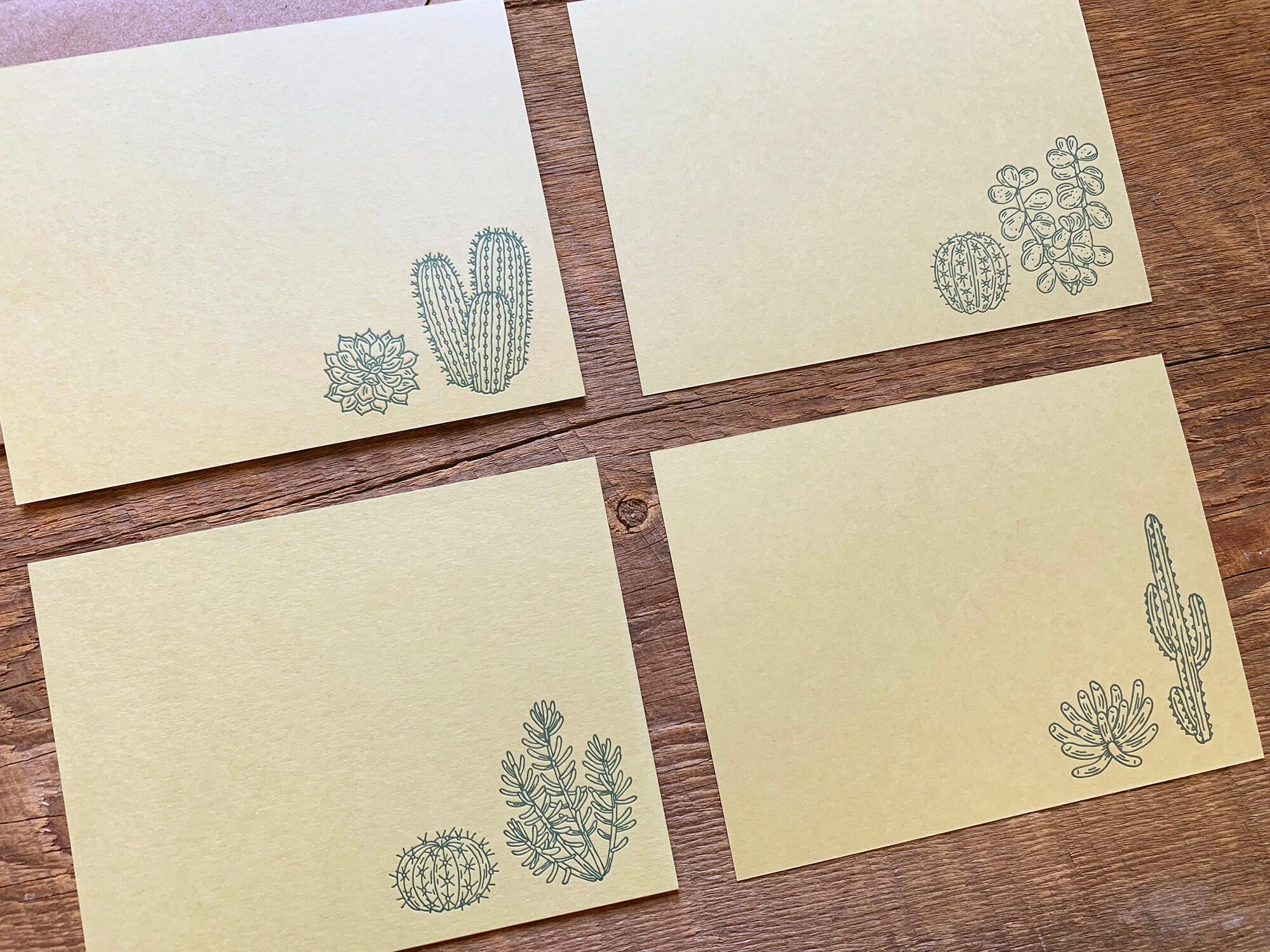 Cactus & Succulent Flat Stationery Mixed Boxed Set of 8 | Etsy