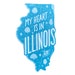 Illinois Sticker Illinois State Sticker Bumper Sticker - Etsy