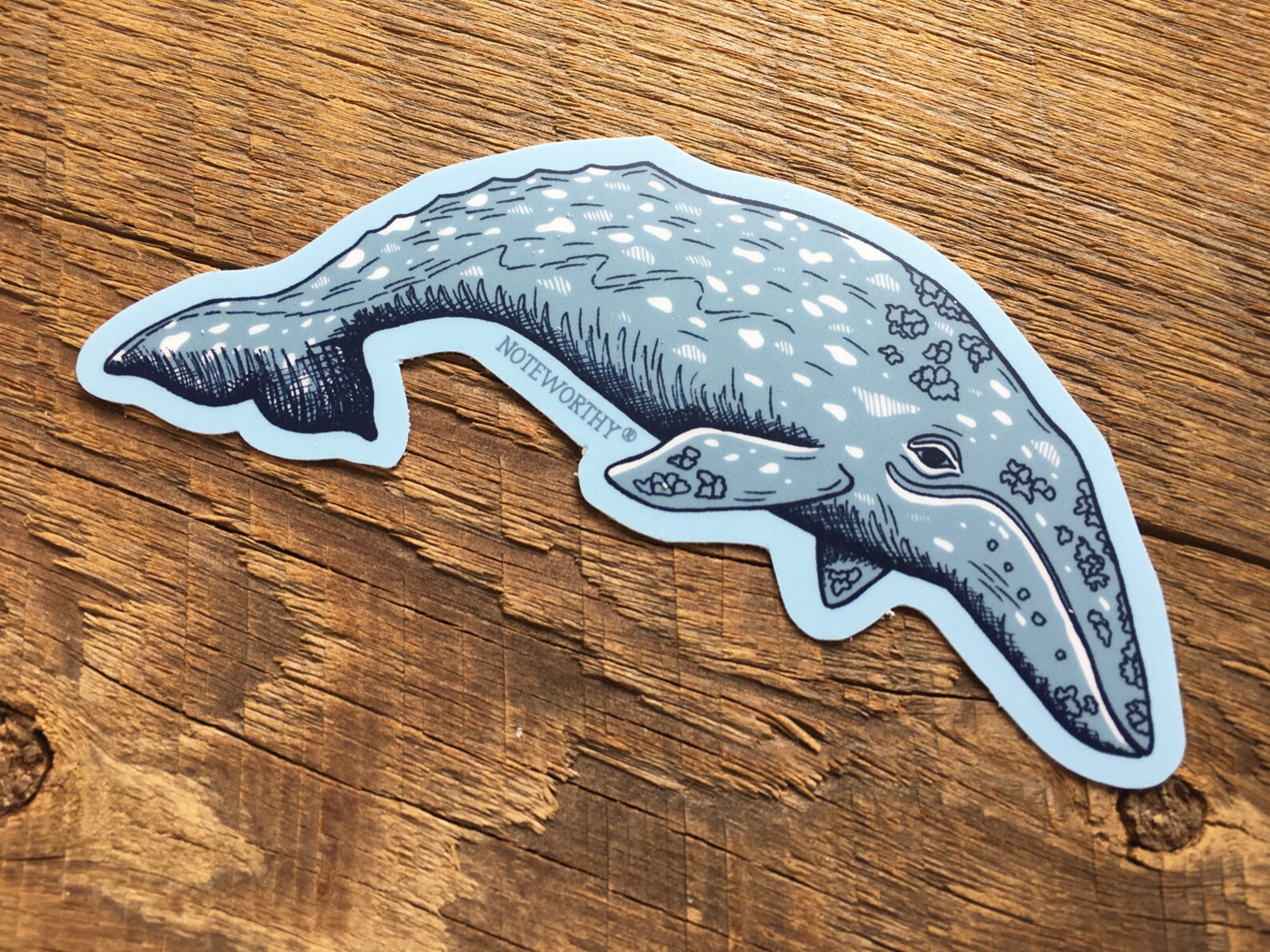 Gray Whale Sticker, Whale Sticker, Outdoor Sticker, Single Die Cut ...