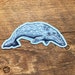 Gray Whale Sticker Whale Sticker Outdoor Sticker Single Die - Etsy