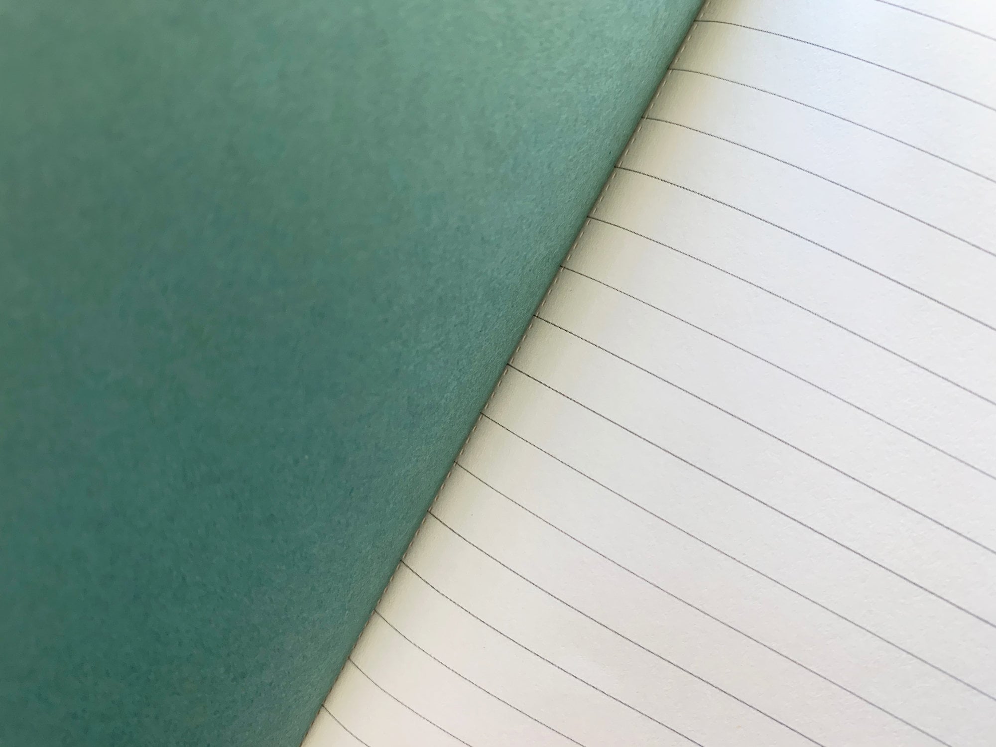 Trees & Leaves Pocket Notebook Sets Set of 2 Pocket | Etsy