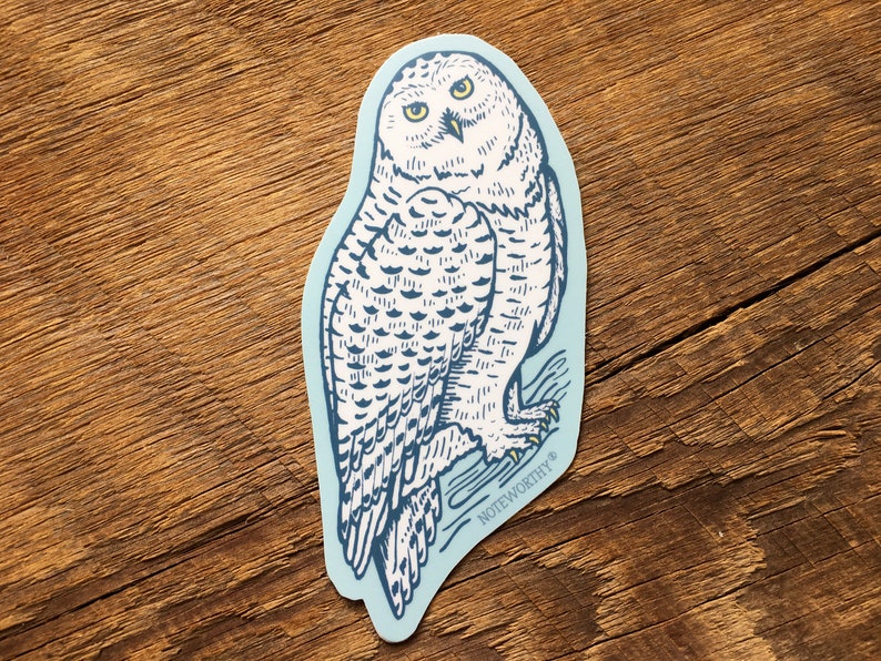 Snowy Owl Sticker, Owl Sticker, Outdoor Sticker, Single Die Cut Vinyl ...
