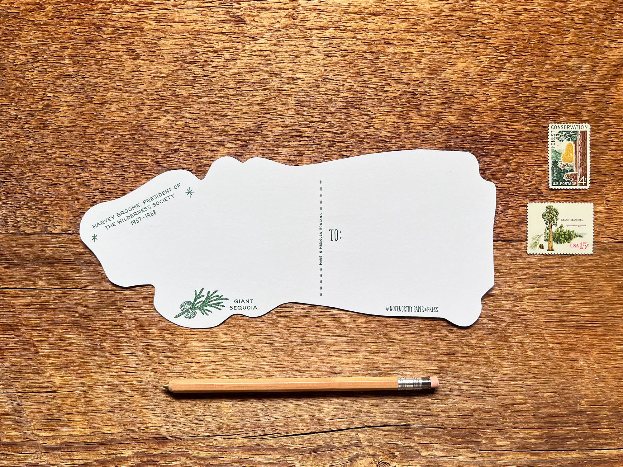 Save Our Forests, Sequoia Tree Postcard, Forest Conservation, Sequoia ...