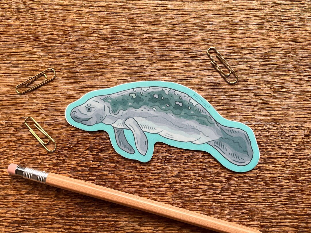 Manatee Sticker, Ocean Sticker, Single Die Cut Vinyl Sticker - Etsy