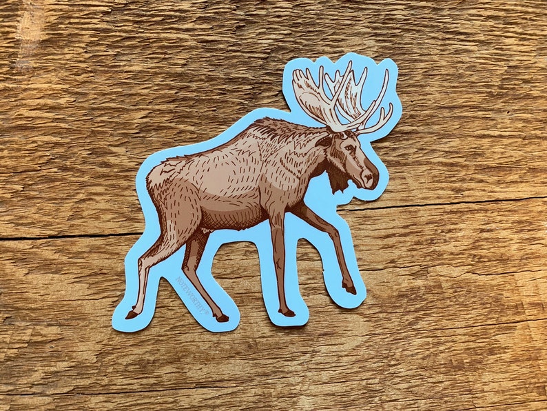 Moose Sticker Single Die Cut Vinyl Sticker | Etsy