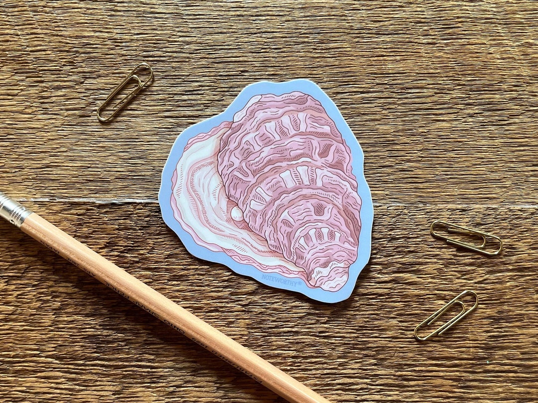 Oyster Sticker, Ocean Sticker, Outdoor Sticker, Single Die Cut Vinyl ...