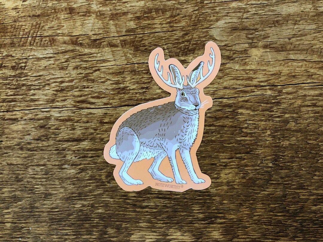 Jackalope Sticker, Outdoors Sticker, Single Die Cut Vinyl Sticker - Etsy