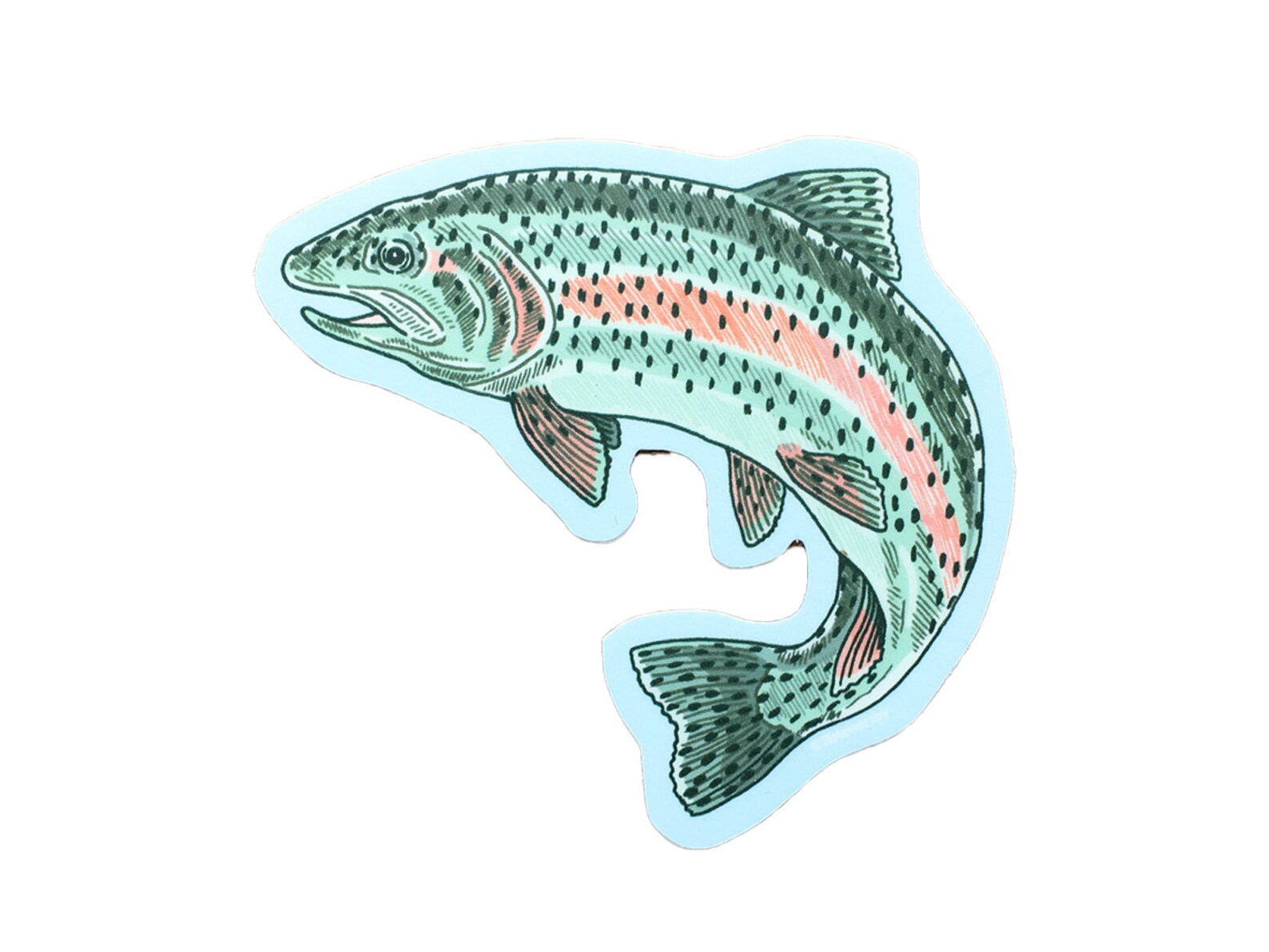 Trout Sticker, Rainbow Trout Sticker, Single Die Cut Vinyl Sticker - Etsy