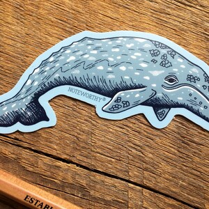 Gray Whale Sticker, Whale Sticker, Outdoor Sticker, Single Die Cut ...