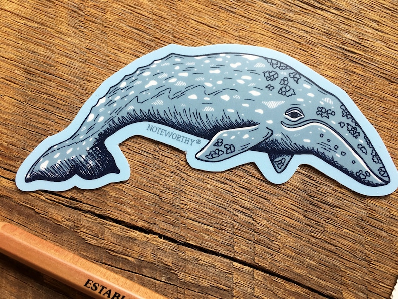 Gray Whale Sticker, Whale Sticker, Outdoor Sticker, Single Die Cut ...