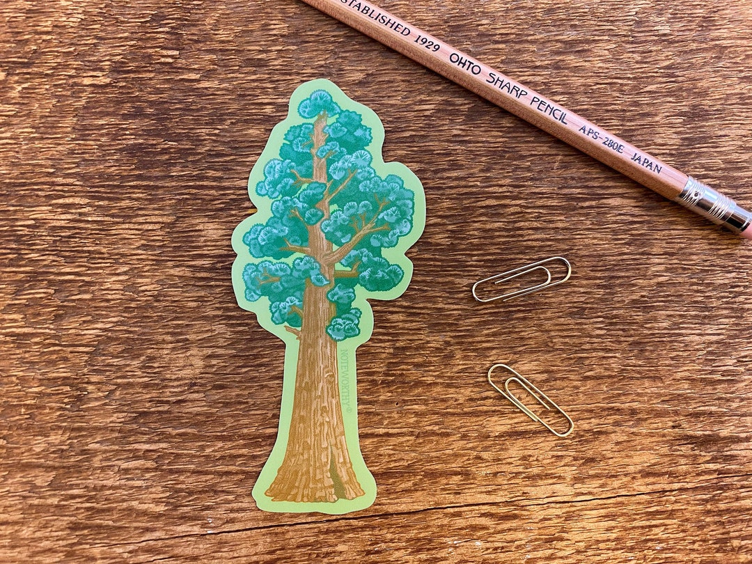 Sequoia Tree Sticker, Tree Illustration Sticker, Single Die Cut Vinyl ...