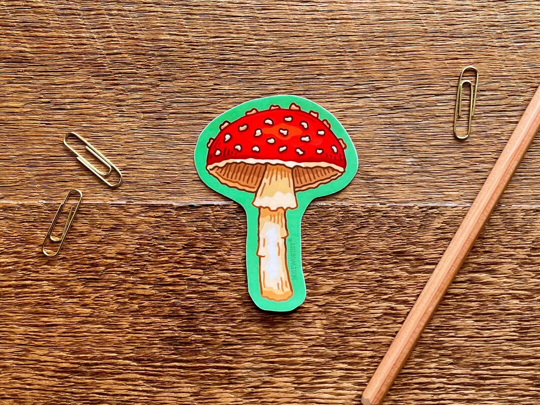Mushroom Sticker, Nature Sticker, Single Die Cut Vinyl Sticker - Etsy