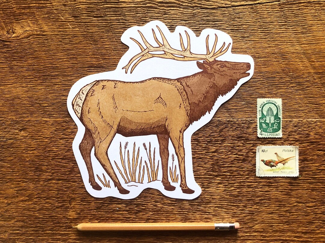 Elk Postcard Die Cut Letterpress Postcard - Etsy