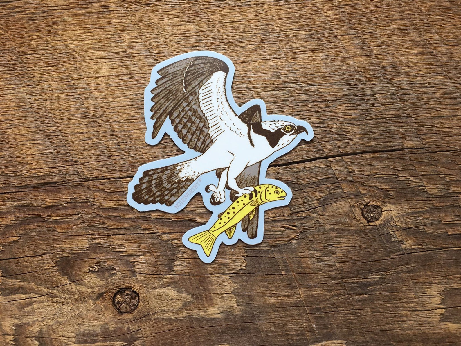 Osprey Sticker Wildlife Sticker Outdoor Sticker Single Die - Etsy