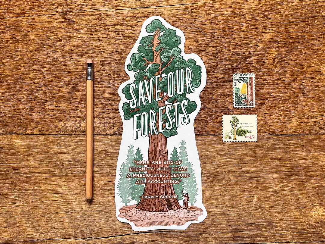 Save Our Forests, Sequoia Tree Postcard, Forest Conservation, Sequoia ...