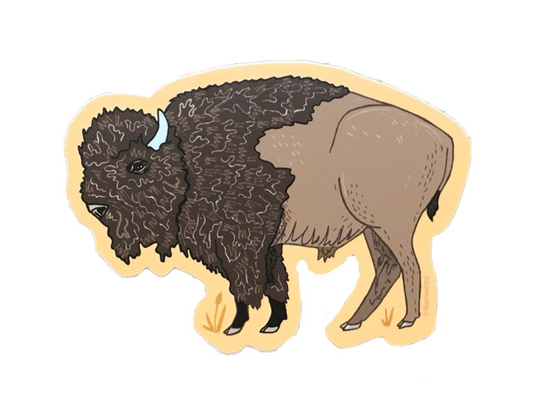 Bison Sticker Buffalo Sticker Single Die Cut Vinyl Sticker - Etsy