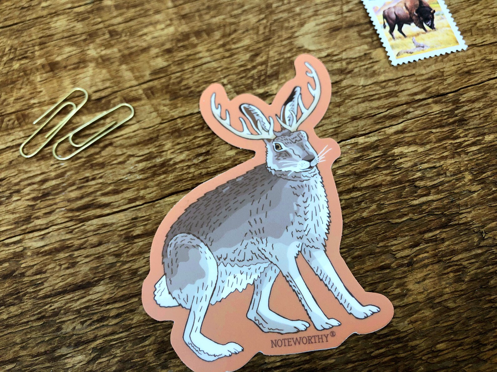 Jackalope Sticker Outdoors Sticker Single Die Cut Vinyl - Etsy