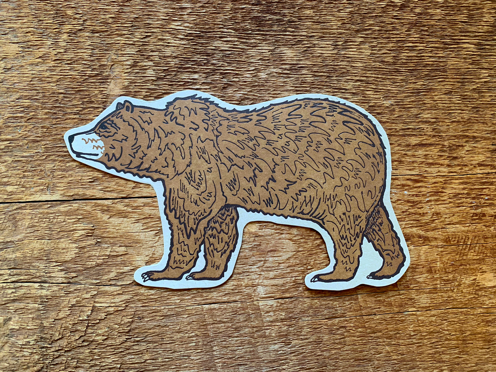 Grizzly Bear Postcard, Bear Postcard, Die Cut Letterpress Postcard - Etsy