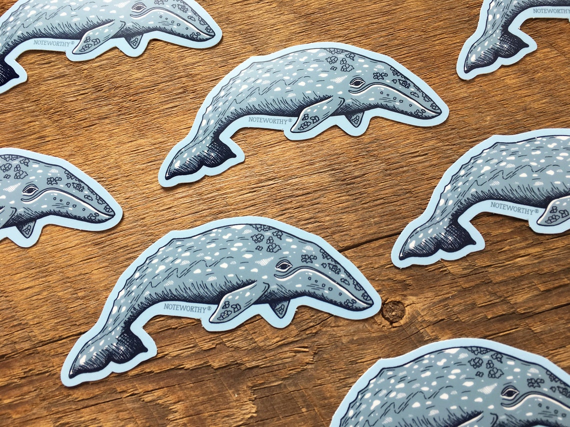 Gray Whale Sticker, Whale Sticker, Outdoor Sticker, Single Die Cut ...