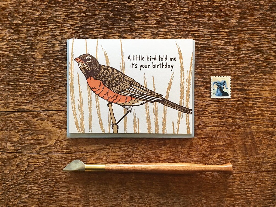 Little Bird Birthday American Robin Card Letterpress - Etsy