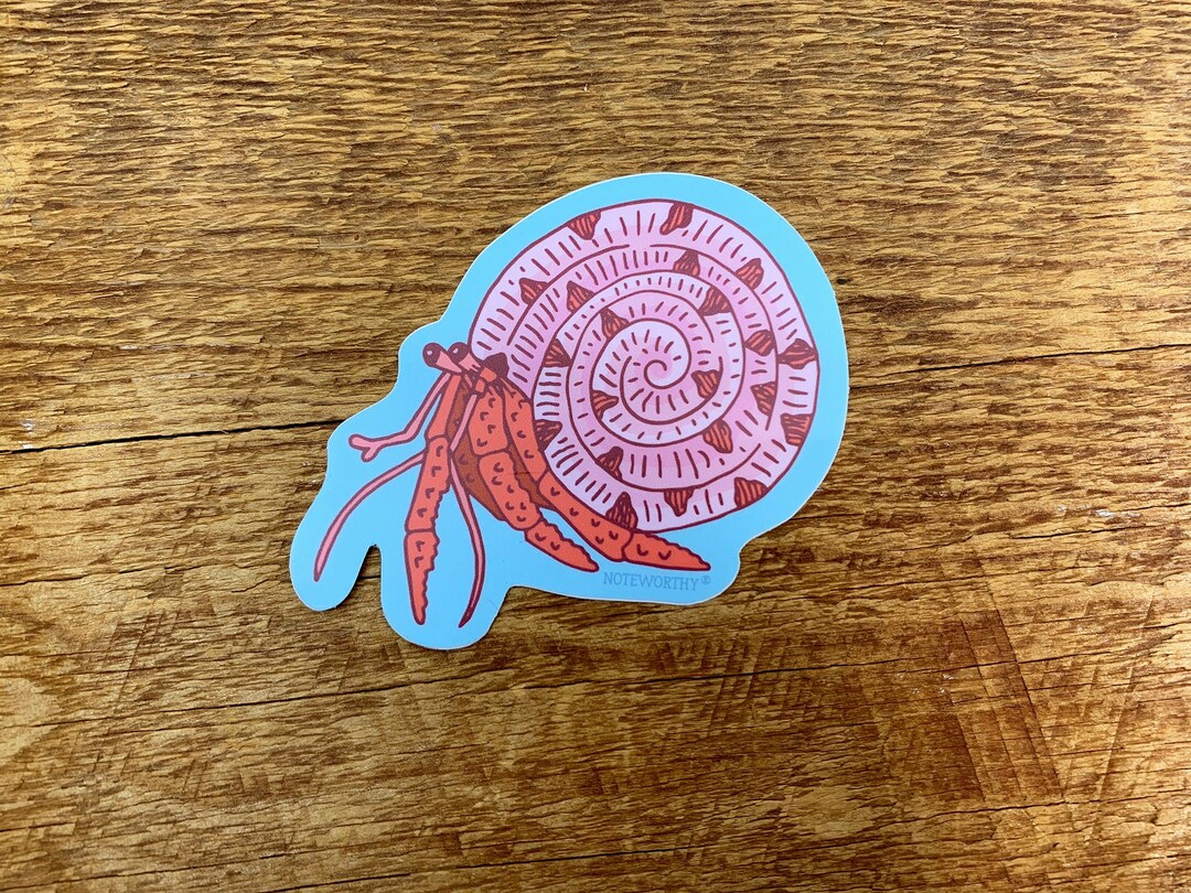 Hermit Crab Sticker, Crab Sticker, Single Die Cut Vinyl Sticker - Etsy