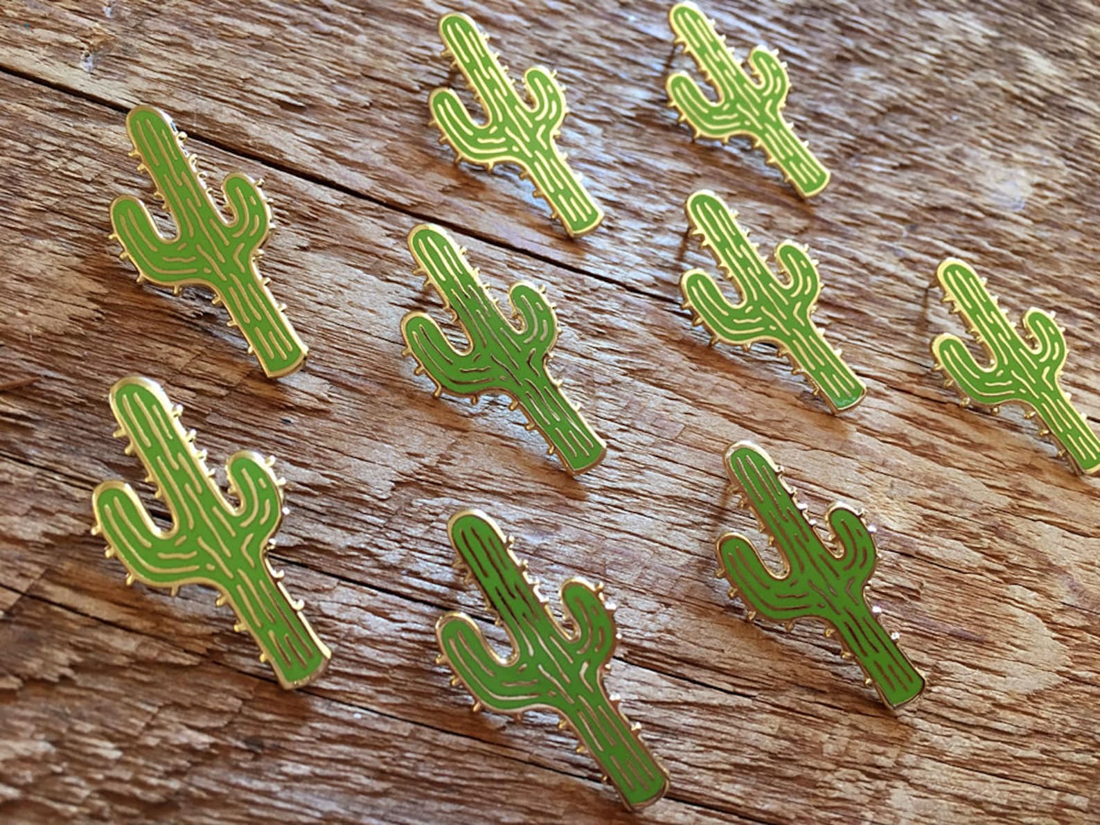 Cactus Enamel Pin Desert Enamel Pin Single Hard Enamel Pin - Etsy