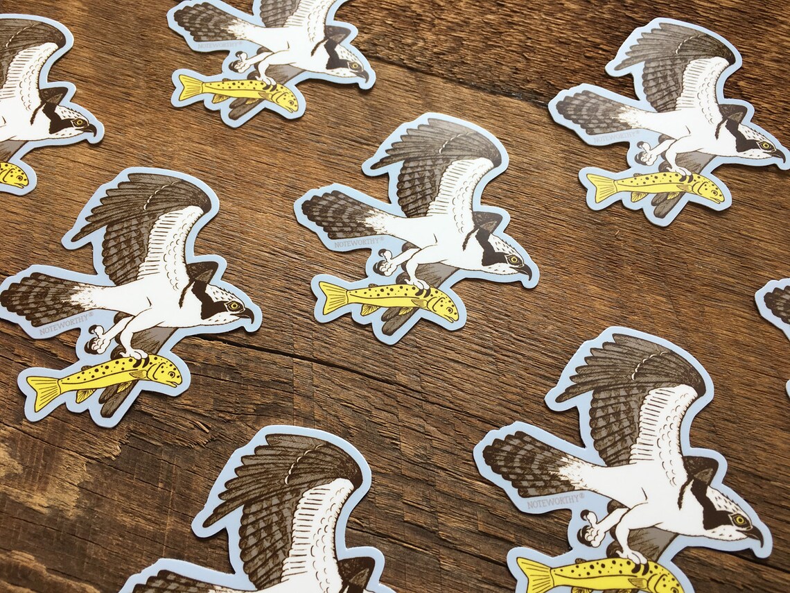 Osprey Sticker, Wildlife Sticker, Outdoor Sticker, Single Die Cut Vinyl ...