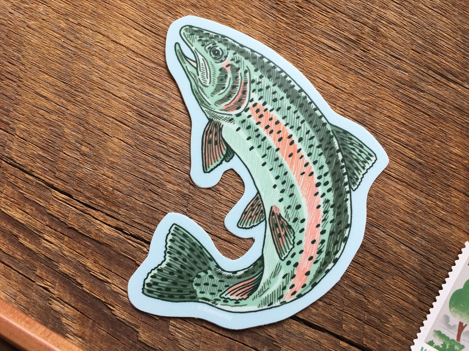 Trout Sticker, Rainbow Trout Sticker, Single Die Cut Vinyl Sticker - Etsy