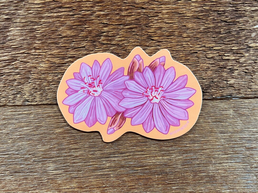Bitterroot Sticker, Flower Sticker, Montana Sticker, Single Die Cut ...