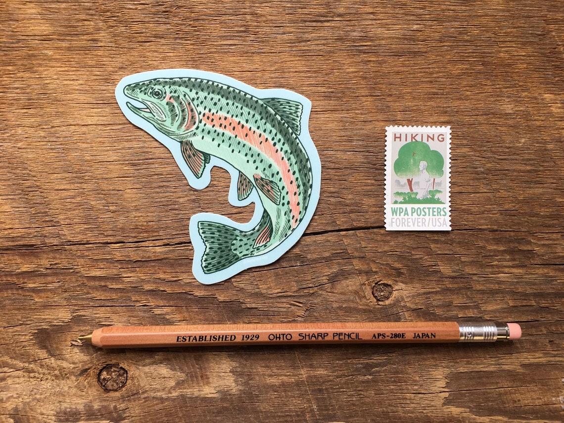 Trout Sticker, Rainbow Trout Sticker, Single Die Cut Vinyl Sticker - Etsy