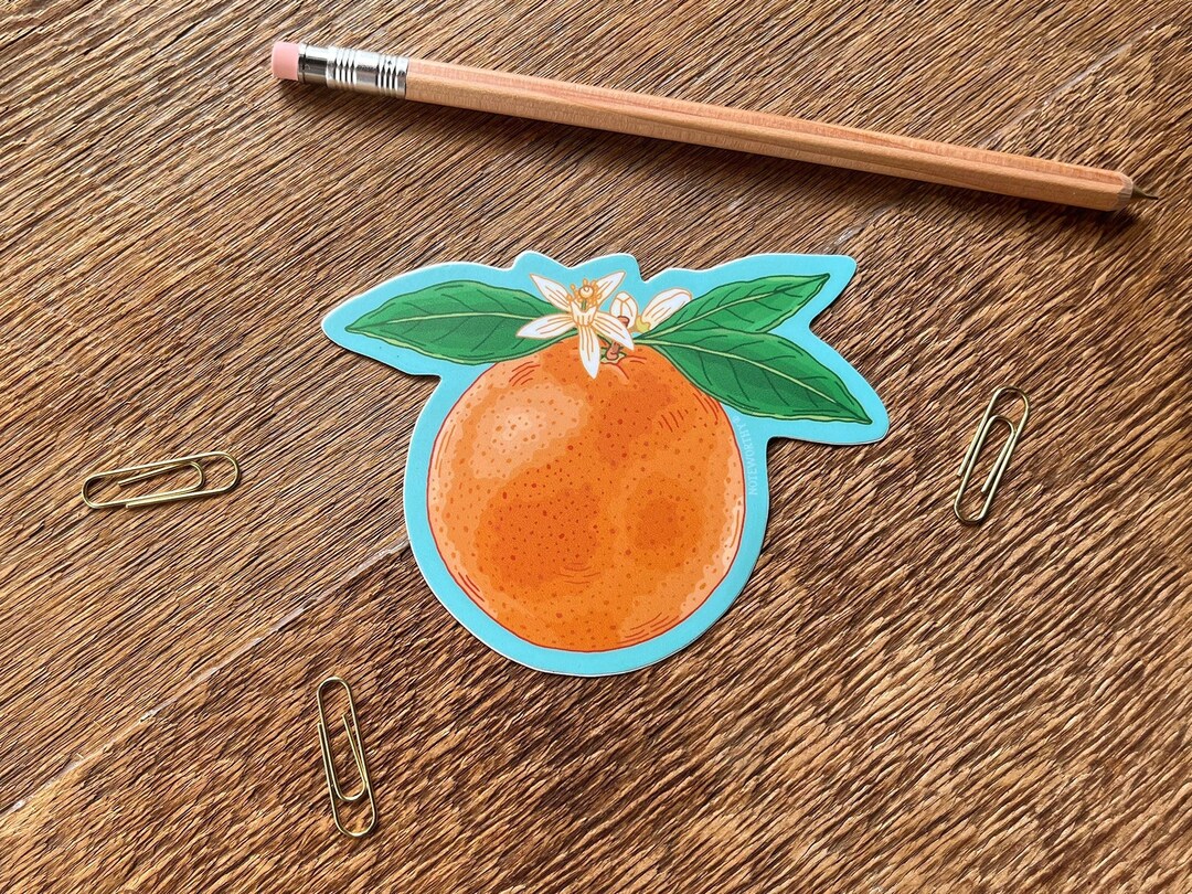Orange Sticker, Fruit Sticker, Single Die Cut Vinyl Sticker - Etsy