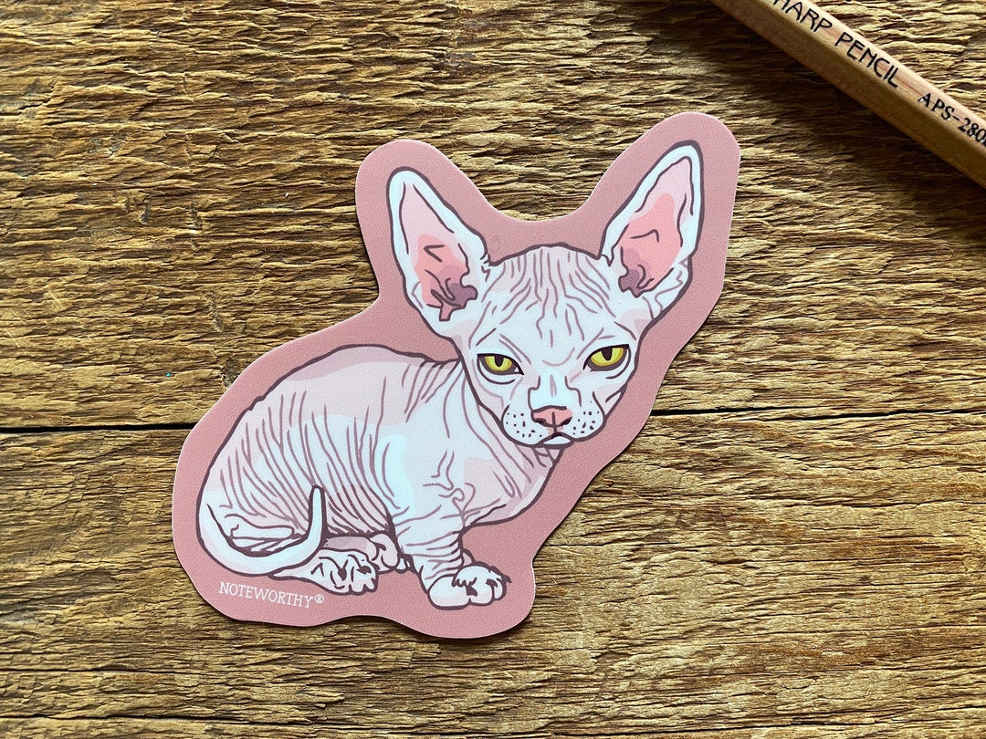 Hairless Cat Sticker, Cat Sticker, Single Die Cut Vinyl Sticker - Etsy