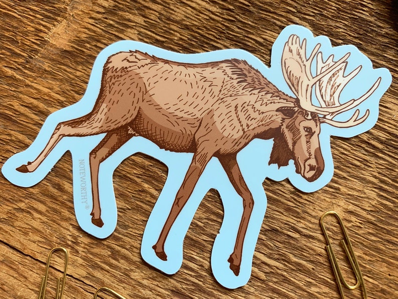 Moose Sticker Single Die Cut Vinyl Sticker | Etsy