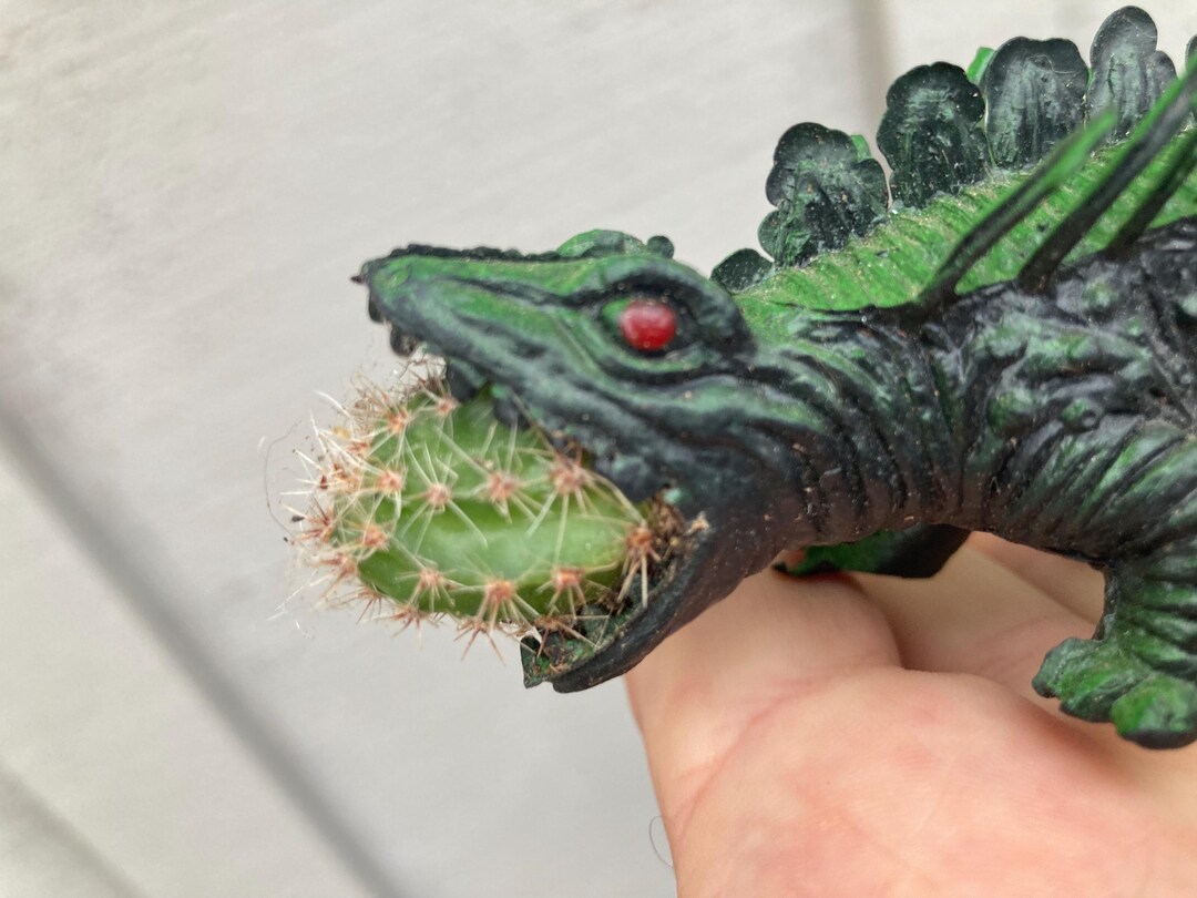 Dinosaur Living Art Upcycled Succulent Planter - Etsy