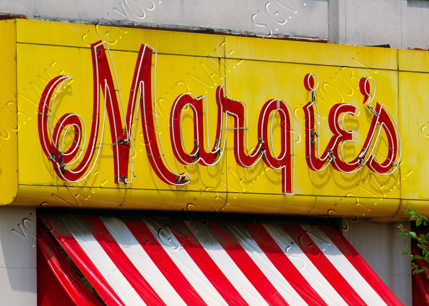 Personalized Playing Cards Featuring the Name MARGIE in a - Etsy