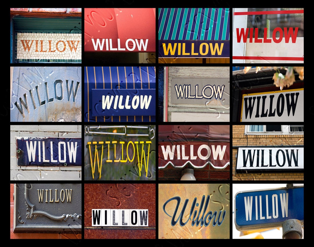 Personalized Poster Featuring WILLOW Showcased in Photos of Signs; Art ...