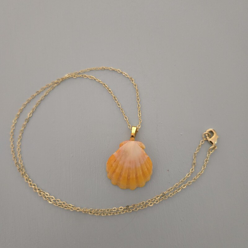 Sunrise Shell Necklace - Etsy