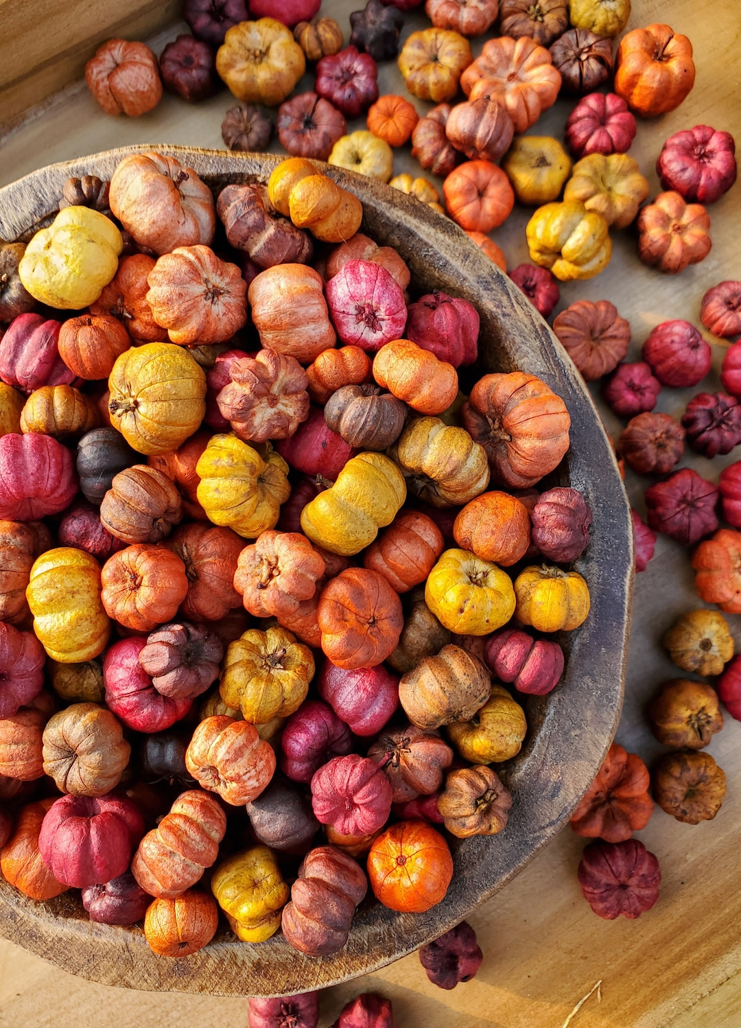 Harvest Putka Pods Multicolored Blend Scented/unscented. Handpicked and ...