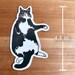 Tuxedo Cat Belly 2 STICKER - Etsy