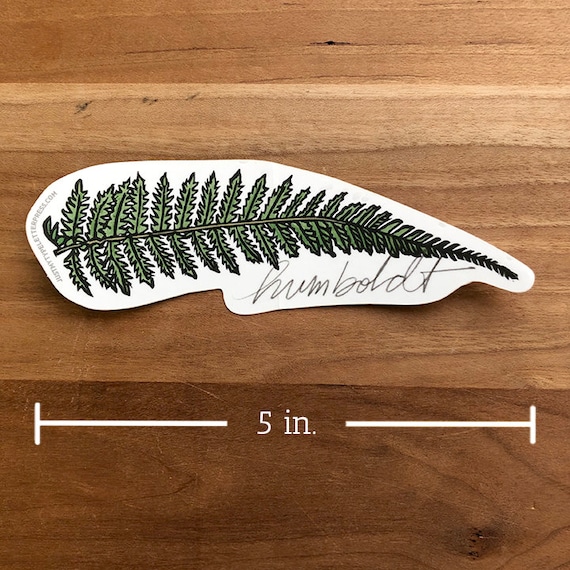 Humboldt Fern STICKER - Etsy