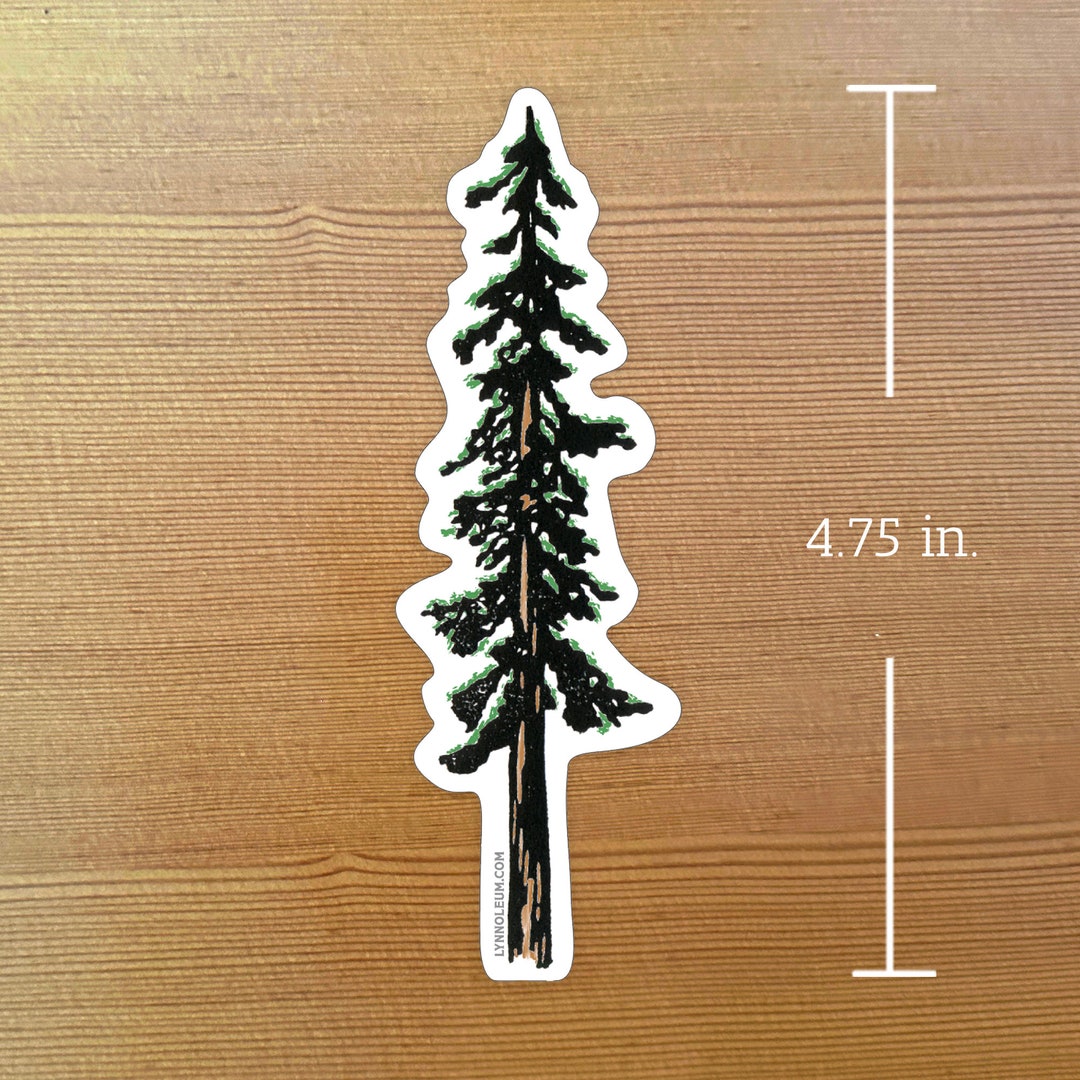 Redwood Tree STICKER - Etsy
