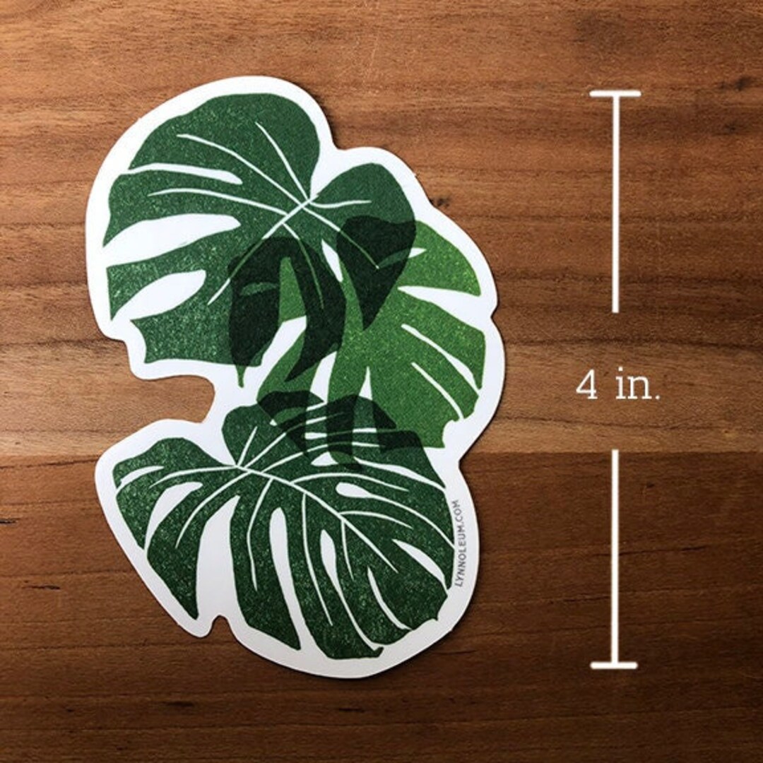 Monstera Leaves STICKER - Etsy
