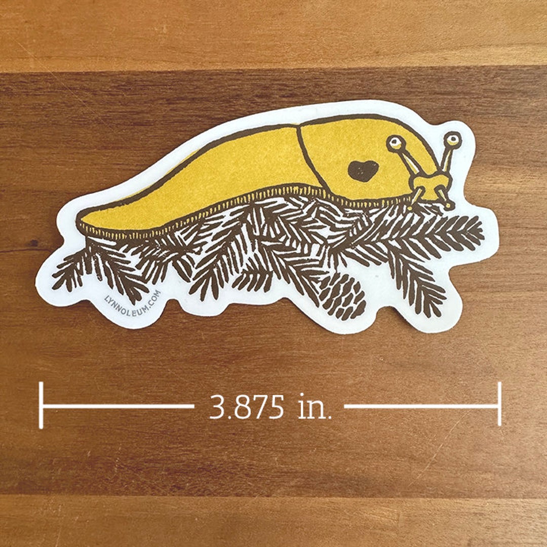 Banana Slug STICKER - Etsy