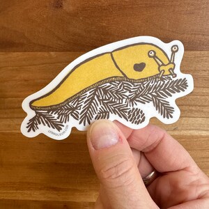 Banana Slug STICKER - Etsy