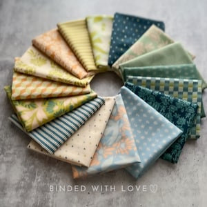 Evolve Collection by Suzy Quilts Full Collection 16 Prints Art Gallery Fabrics Fat Quarter ...