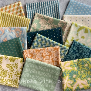 Evolve Collection by Suzy Quilts Full Collection 16 Prints Art Gallery Fabrics Fat Quarter ...